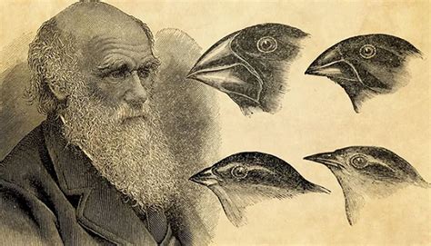 research points to holes in darwin s theory of evolution