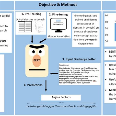 Automatic Extraction Of 12 Cardiovascular Concepts Ccs From German Download Scientific