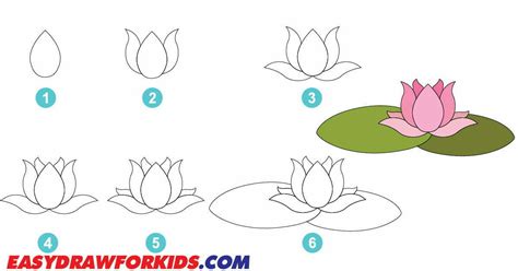 How To Draw A Lotus Flower 2 Ways With Pictures