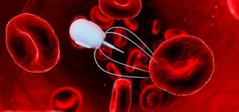 What Does Mifi Mean What Can A Mifi Do Is Mifi Better Than Wi Fi Mifi Vs Wifi Science Online