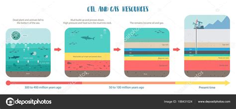 How To Petroleum Fossil Fuel Was Form Stock Vector By Pui Motif Gmail Com