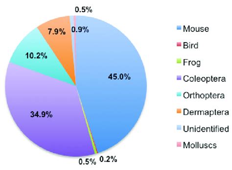 Percent Prey Composition In Pellets Of Spotted Owlet At All The Eight