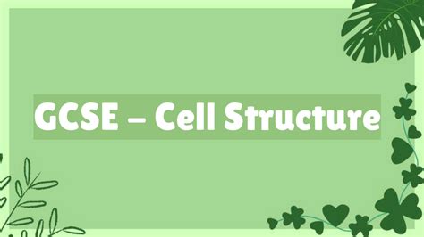 SOLUTION GCSE Triple Biology Cell Structure Flashcards Studypool