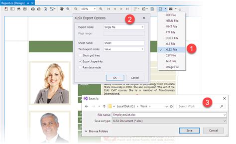 document export overview reporting tools devexpress documentation