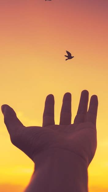 Premium Photo Freedom Of People In The Nature