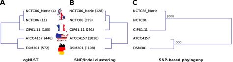Phylogeography Of Ancestral Escherich Strain Isolates A Cgmlst Based
