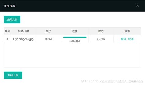 webuploader上传视频，包括上传进度、上传状态、暂停和取消等 webuploader filequeued 停止上传 csdn博客