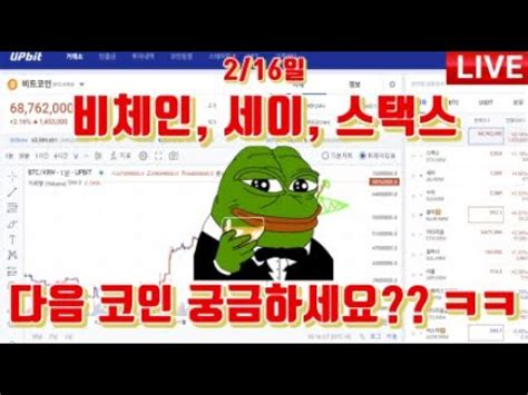 비체인 세이 스택스 가스 플로우 쓰레스홀드 떡상 코인 알려드릴게요 비트코인 불장 선물 라이브 실시간 생방송 live YouTube
