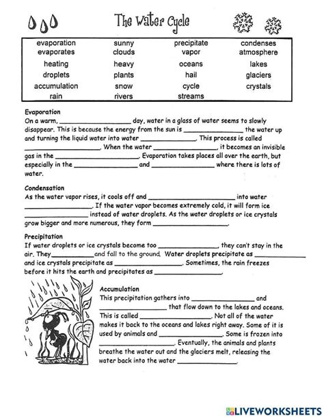 Water Cycle For 6th Grade Worksheet Worksheets Library
