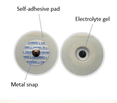 EEG Terminology Flashcards Quizlet EEG Terminology Flashcards Quizlet