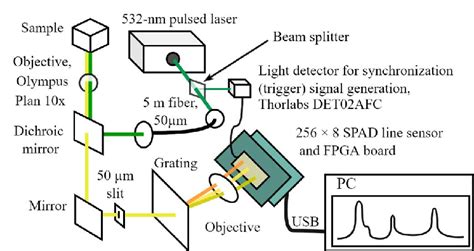 Block Diagram Of The Raman Spectrometer Download Scientific Diagram