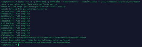 Cara Install Docker Di Ubuntu Deal Cloud