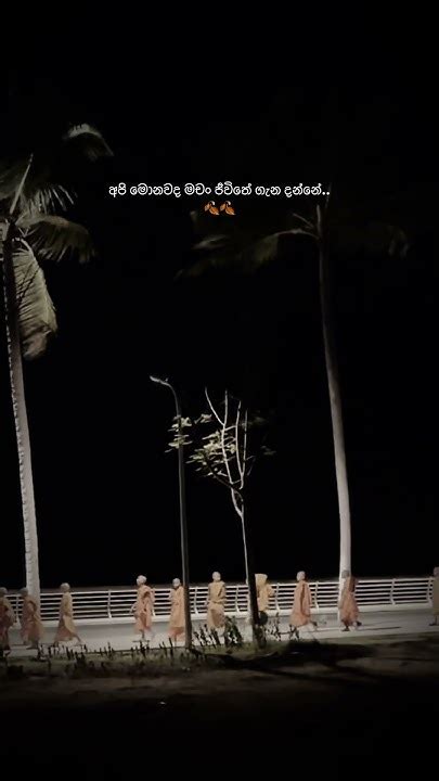 මේ ජීවිතේ හුගක් ලොකු බරක් වේගෙන එනවා Youtube