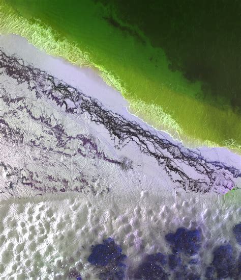 Multispectral Results Pixel Values Odm Opendronemap Community