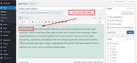 How To Add Tooltips To Wordpress Here Is The Useful Method