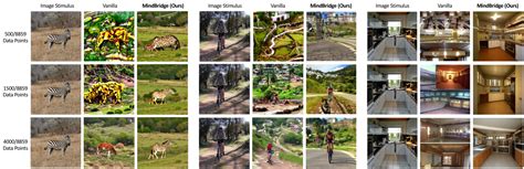 논문 리뷰 Mindbridge A Cross Subject Brain Decoding Framework