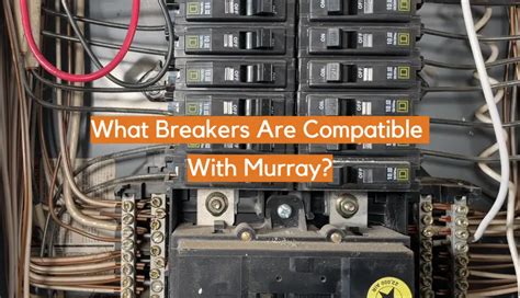 What Breakers Are Compatible With Murray Electronicshacks