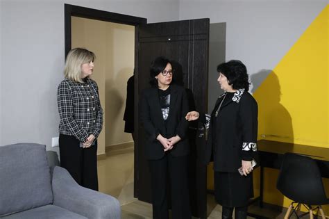 დევნილთა შრომის ჯანმრთელობისა და სოციალური დაცვის სამინისტრო შიდა ქართლში ძალადობის