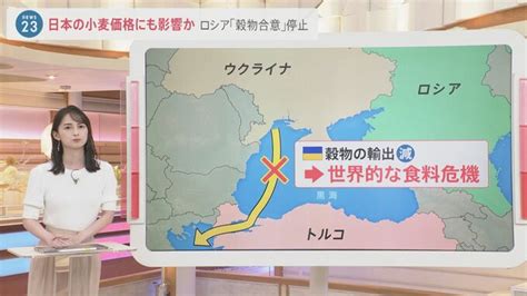 “小麦”など穀物価格高騰の可能性 ロシアの輸出合意“停止”で食料危機の懸念も【news23】 Tbs News Dig 2ページ