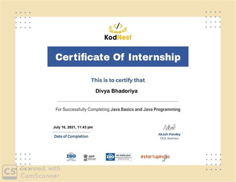 Divya Bhadoriya On Linkedin Java Programming Internship