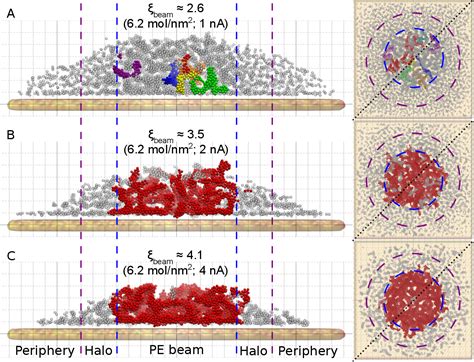 Figure 3 From Atomistic Simulation Of The Febid Driven Growth Of Iron Based Nanostructures