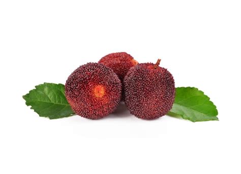 Premium Photo Waxberry Isolated On White Background