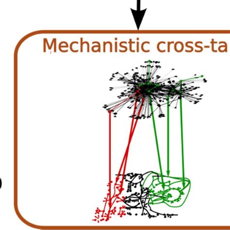 Overall Process Of Omics Data Integration And Analysis A Omics Data