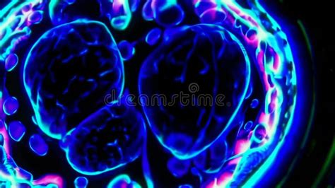 Microscopic Footage Of Colorful Cell Structures In Motion Stock Footage Video Of Footage