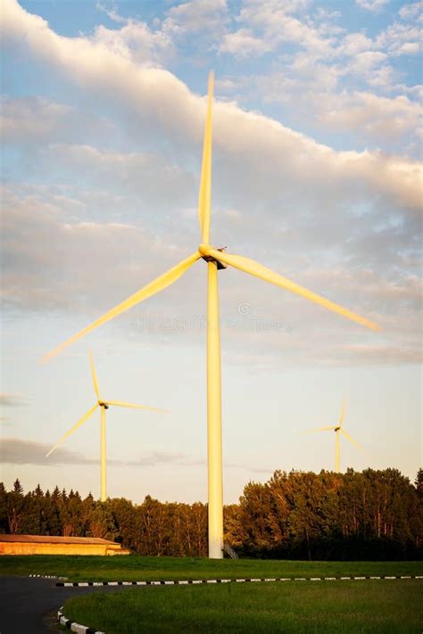 Wind Turbines On Beautiful Sunny Summer Autumn Forest Landsape Green Ecological Power Energy