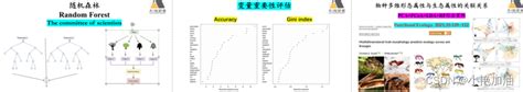 r语言生物群落（生态）数据统计分析与绘图丨r语言基础、tidyverse数据清洗、多元统计分析、随机森林模型、回归及混合效应模型、结构方程模型