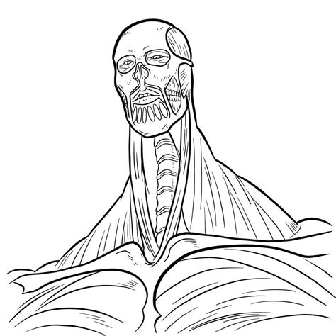Eren Vs Colossal Titan Drawing