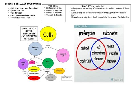 Lesson 2 Cellular Foundations Lesson 2 Cellular Foundations Cell