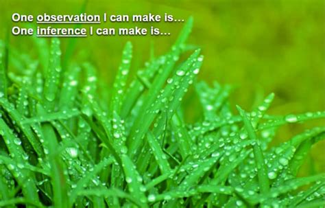 Observation Vs Inference Science Activity By Kbug Garden Of Learning Observation Vs Inference Science Activity By Kbug Garden Of Learning