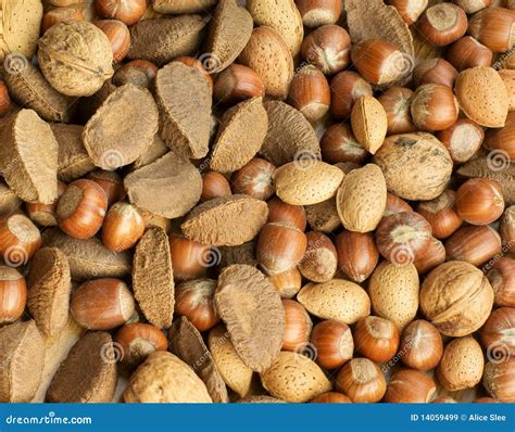 Selection Of Nuts In Shells Royalty Free Stock Images Image 14059499