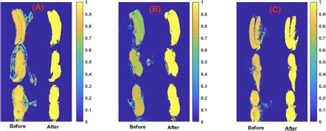 The Spectral Images Before And After Segmentation Of Fruit For Three Download Scientific