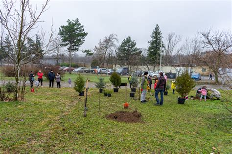 🎄Здравейте Честита Нова Година Градински център Ямбол