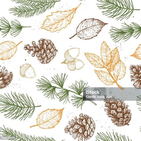 매끄러운 패턴 손으로 그린 벡터 그림 숲 가을 컬렉션 가문비 나무 가지 도토리 소나무 콘 가을 잎 초대장 인사말 카드 따옴표 블로그 포스터 인쇄를위한 요소 디자인 드로잉에