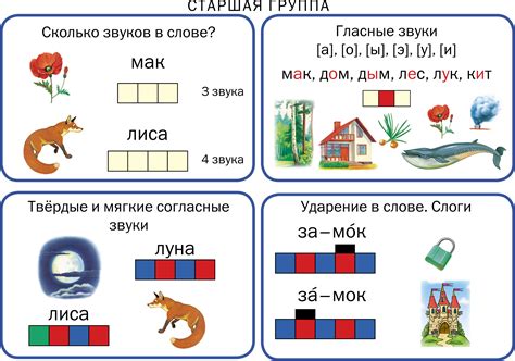 Картинки схемы слов для звукового анализа