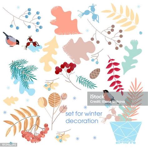 벡터 설정의 건조 분 지 그리고 잔디입니다 엽서 겨울 장식 스티커 꽃무늬에 대한 스톡 벡터 아트 및 기타 이미지 꽃무늬 크리스마스 1월 Istock
