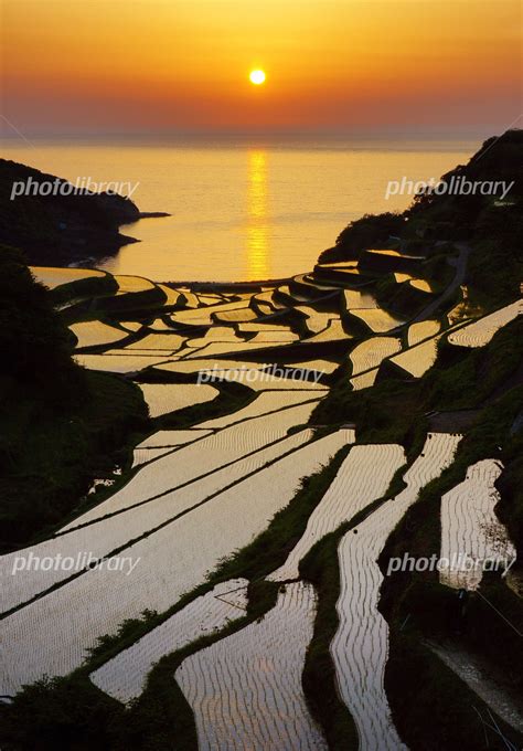 Photolibrary