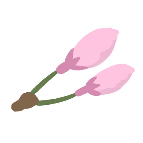 三春滝桜のイラスト ONWAイラスト