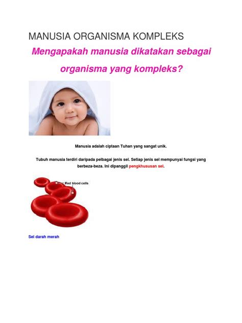Manusia Merupakan Organisma Multisel Yang Kompleks Pdf