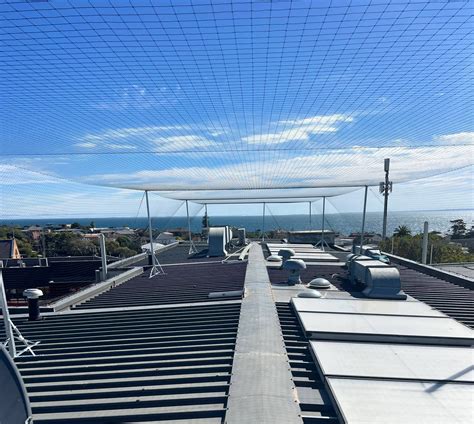 Melbourne S Trusted Bird Netting Reliable And Effective