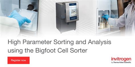 High Parameter Sorting And Analysis Using The Bigfoot Cell Sorter