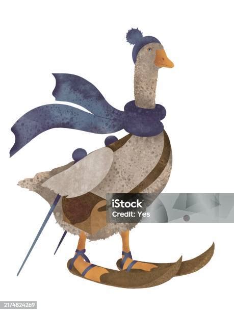 스키를 탄 거위 우체부 모자 흰색 배경에 스카프를 두르고 있습니다 0명에 대한 스톡 벡터 아트 및 기타 이미지 0명 12월 거위 새 Istock