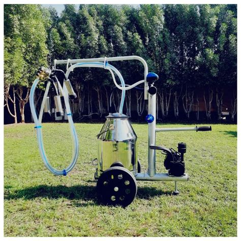 Milking Machines Uae Dairy Equipment