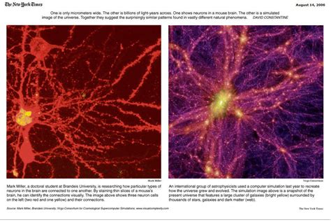 Self Similarity Wired