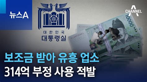 보조금 받아 유흥 업소314억 부정 사용 적발 뉴스a Youtube