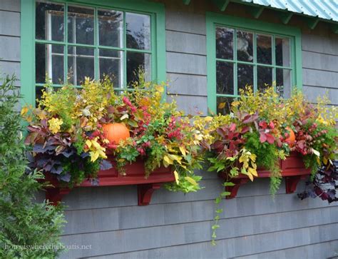 Fall Transition Window Boxes Window Box Flowers Fall Window Boxes Fall Flower Boxes