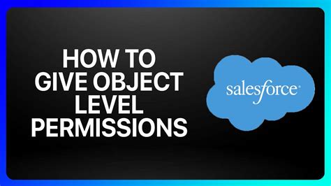 How To Give Object Level Permissions In Salesforce Tutorial Youtube